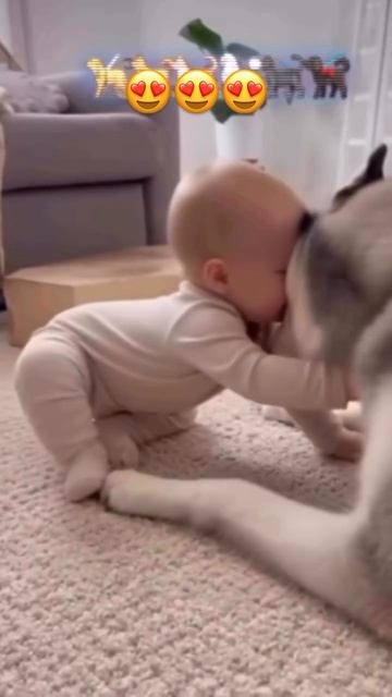 Собака разговаривает с ребенком.