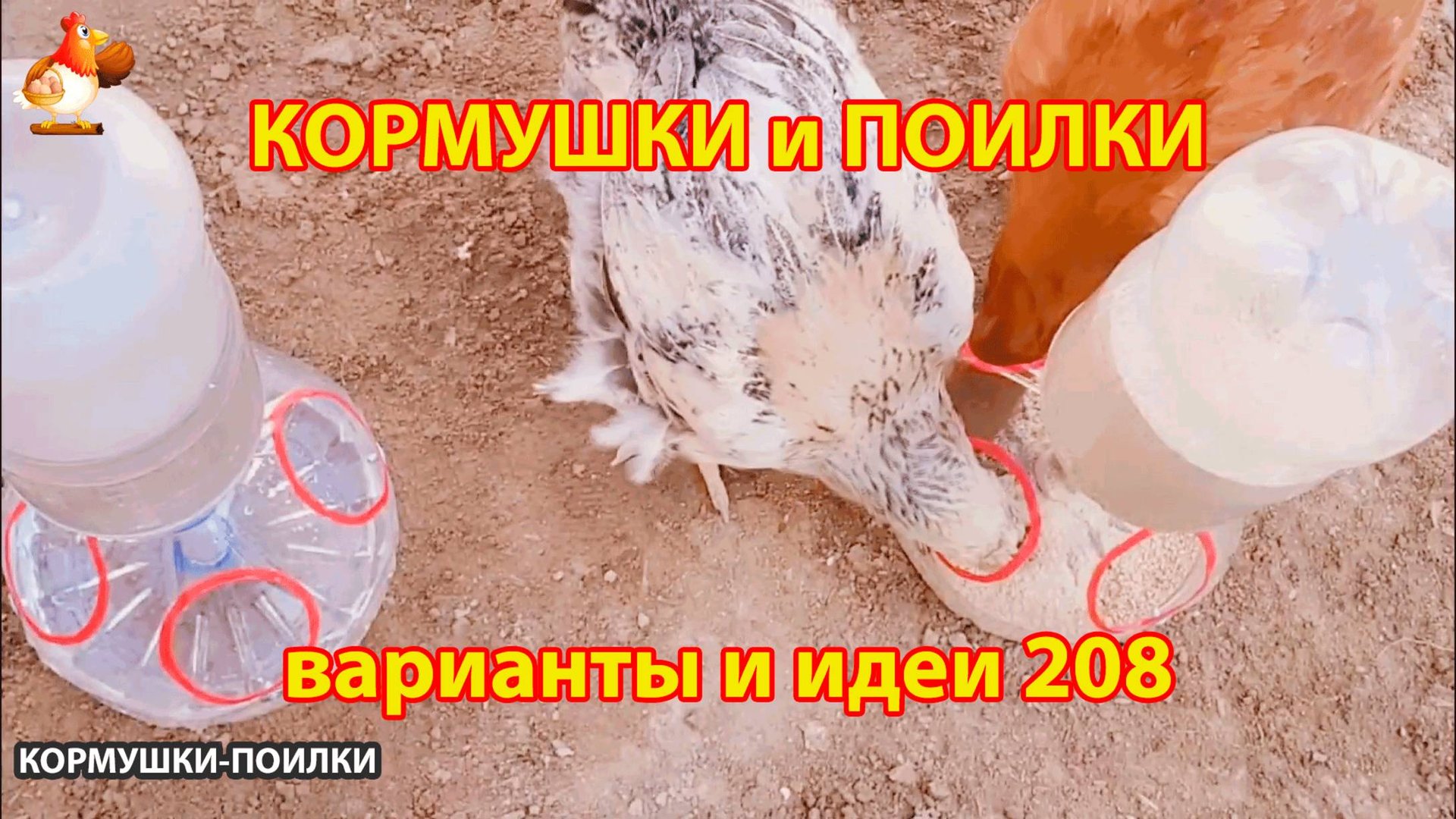 Кормушки и поилки для кур своими руками (208) 🪚✂️ Пошаговая инструкция как сделать 🐔 🐓❣️