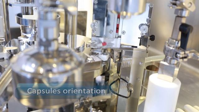 IN-CAP WIP ISOLATED 2024