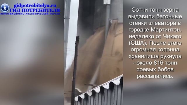 Побег бобов