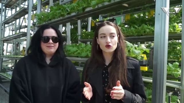 Это – очень развитая технология.