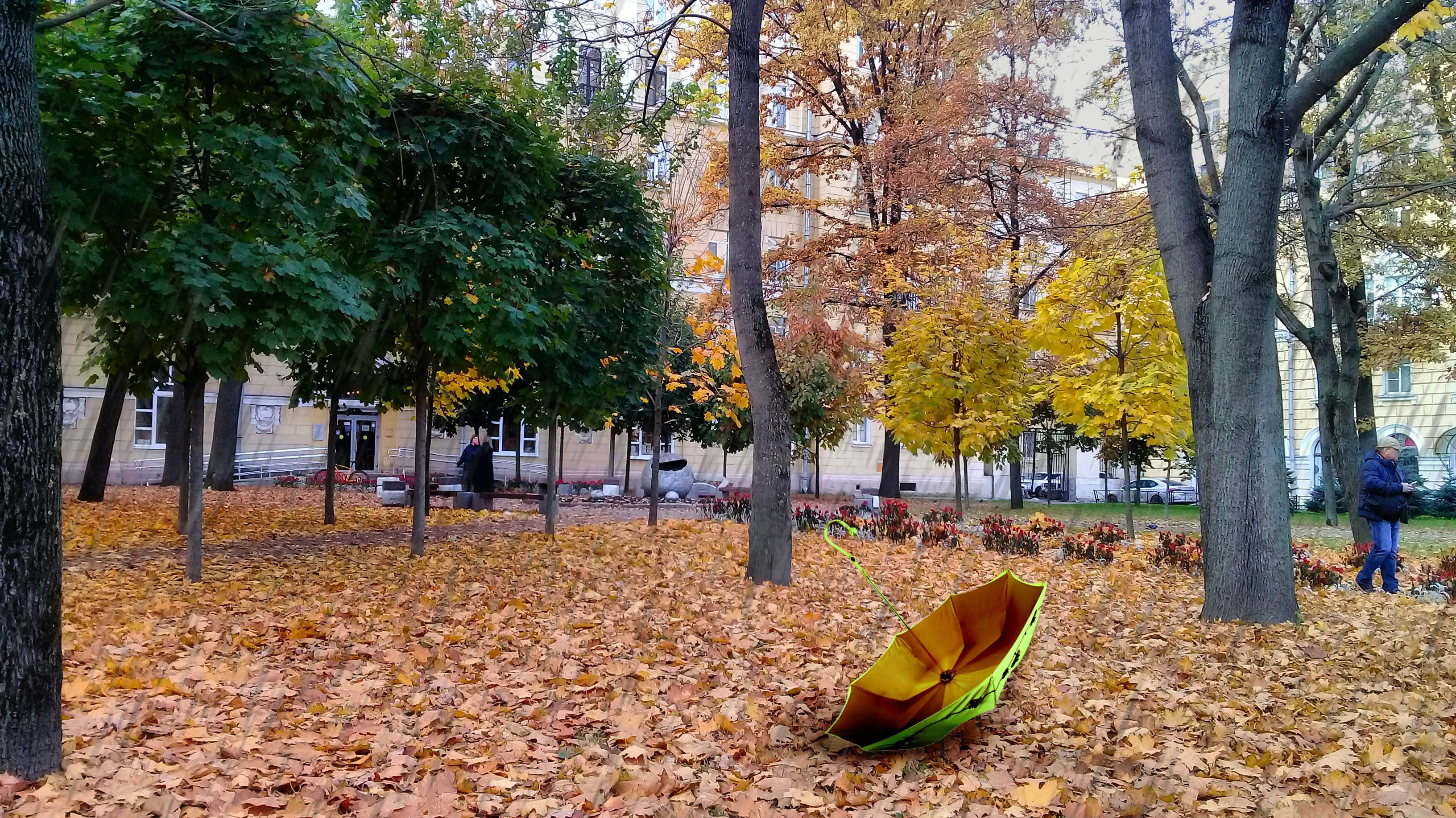 Всё идёт к снегу