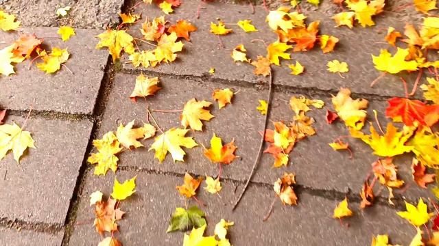 Прощальный танец(авторская песня)