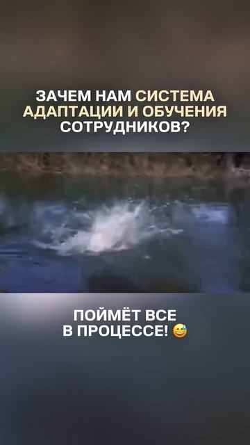 Быстрое обучение без регламентов и инструкций 👌🏻