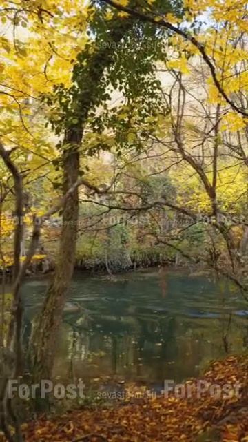 Уникальными кадрами охоты волка на оленя поделился наш подписчик