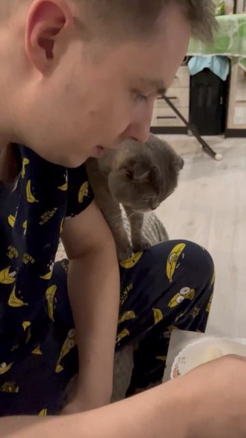 КошКомиксы. Серия 36 «Песня дынной попрошайки»