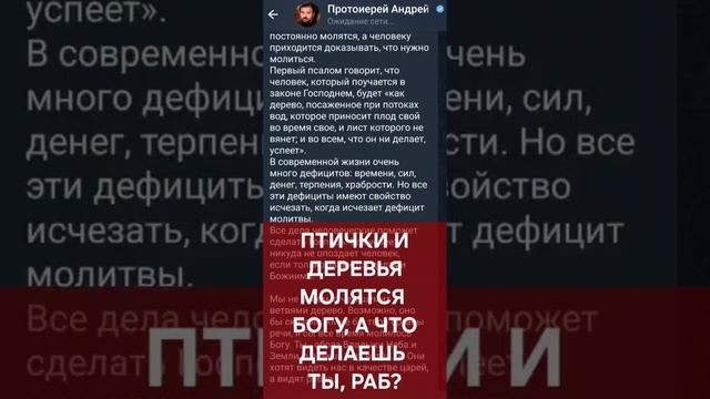 Андрей Ткачёв: птички молятся Богу! (31.10.25)