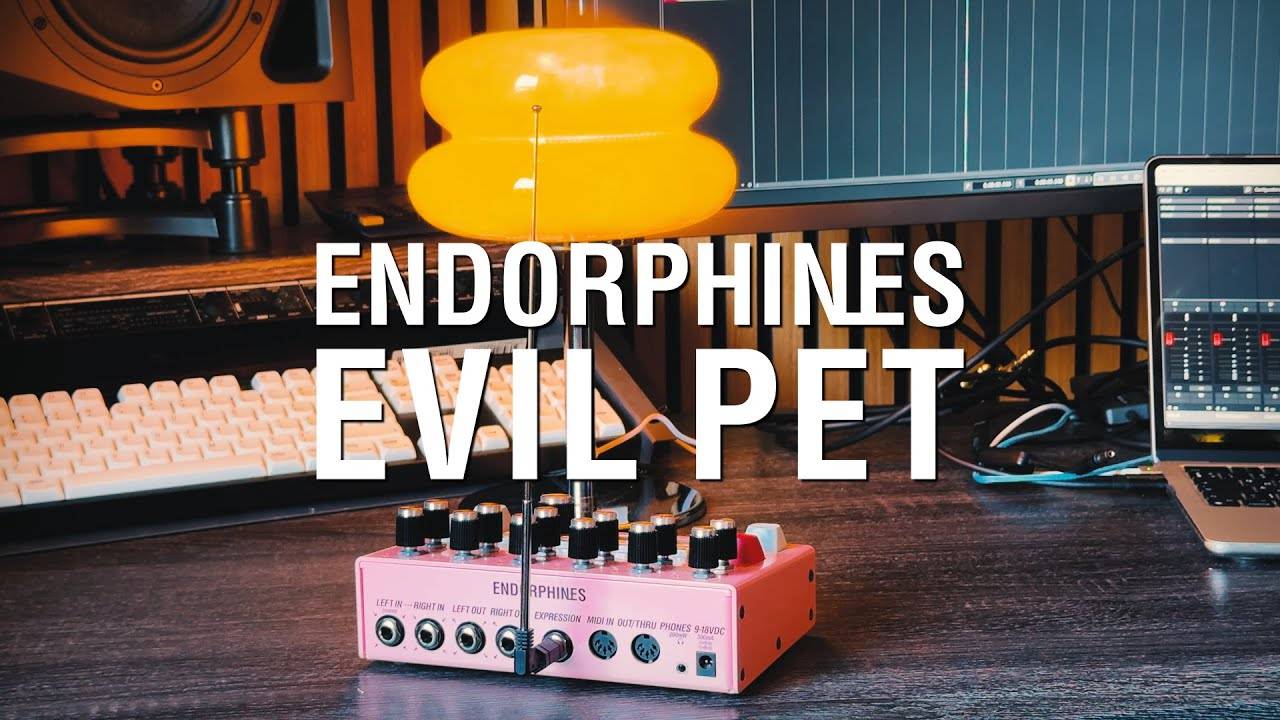 Endorphin.es Evil Pet: Little Synth / Granular / FM