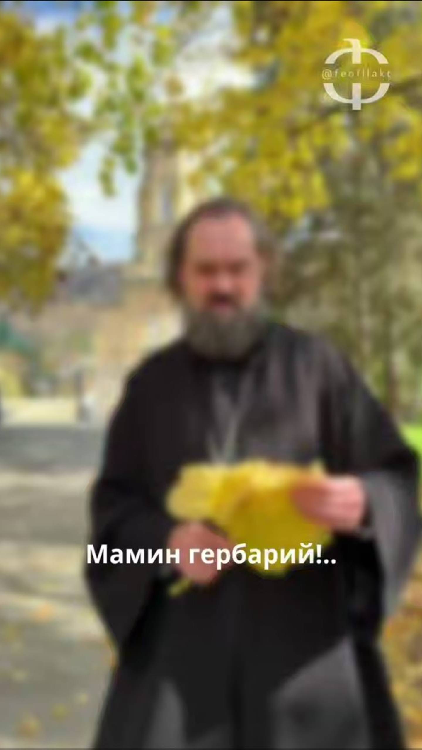 Мамин гербарий!..