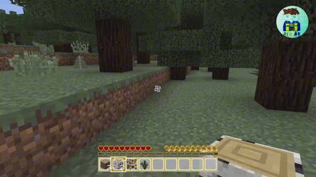 Minecraft. 6 Только игровой процесс. Без комментария.