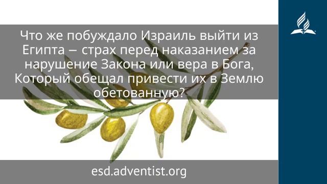 1 ноября 2025. Путь заповедей. Под сенью благодати | Адвентисты