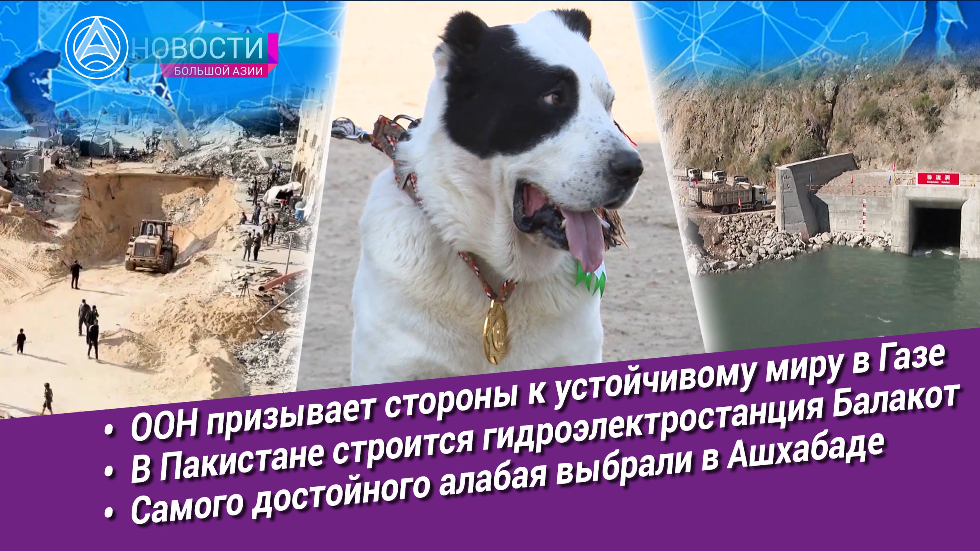 Новости Большой Азии (выпуск 1085): Мечта о мире, гидроэнергетика Пакистана, алабай года