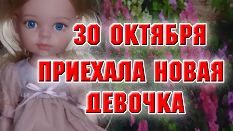 30 октября. Приехала еще одна новая девочка