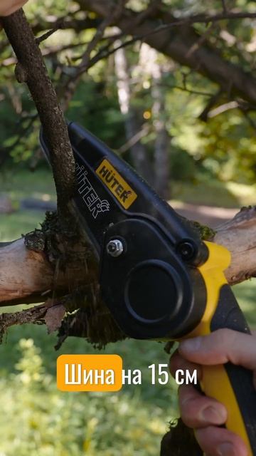 Секатор, пила или кусторез? Выбираем инструмент для обрезки деревьев