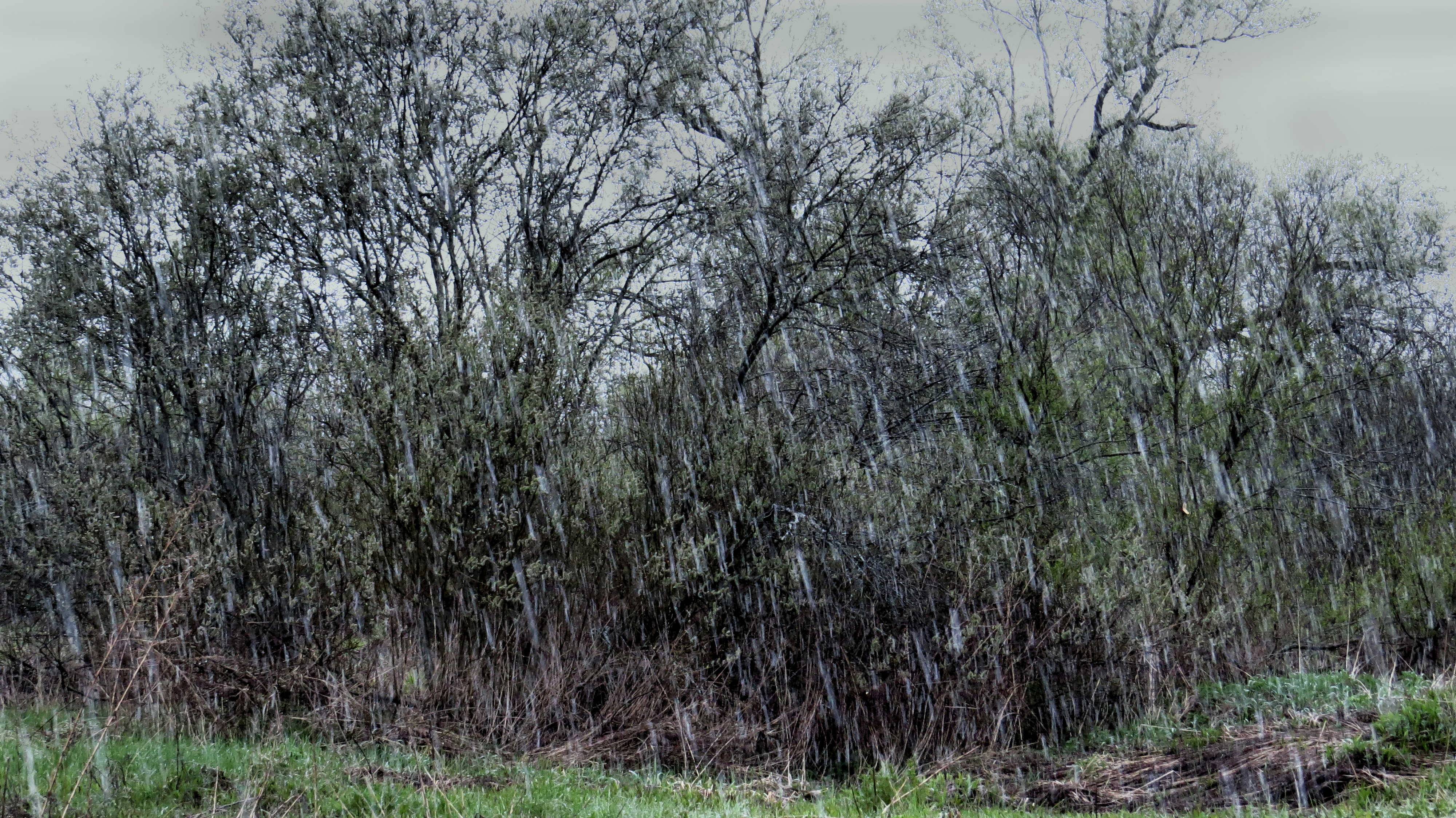 Снег 8 мая 2025 года