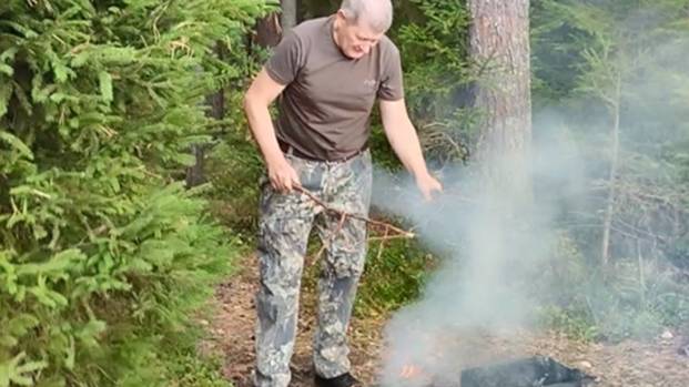 PS_Сказка леса