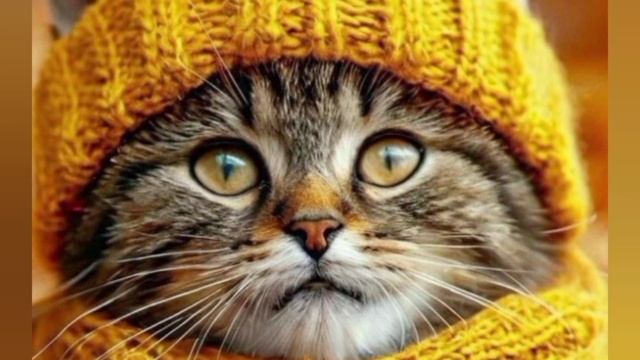 Самым близким! 🍁🍁🍁