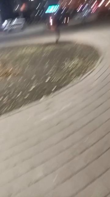 🍂 Субботний калейдоскоп 🤪 Кемерово 01.11.2025 г