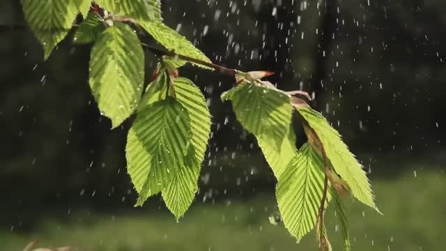 Песня о Смысле Жизни