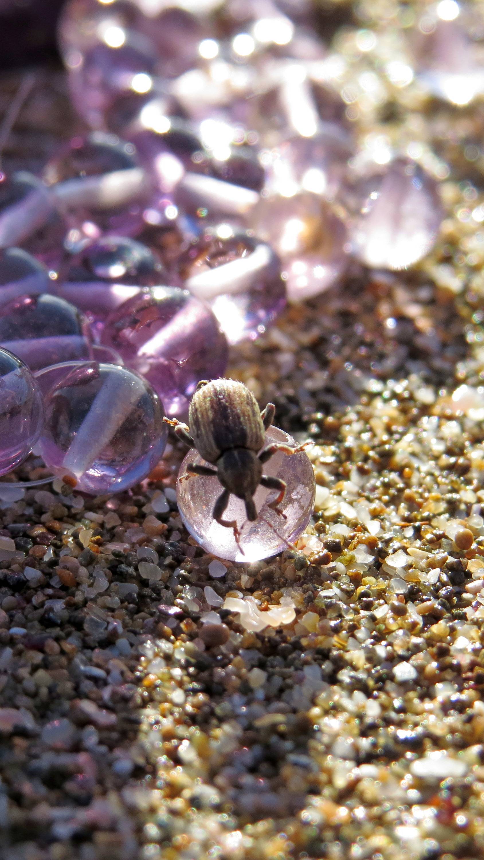 Моя бусинка!