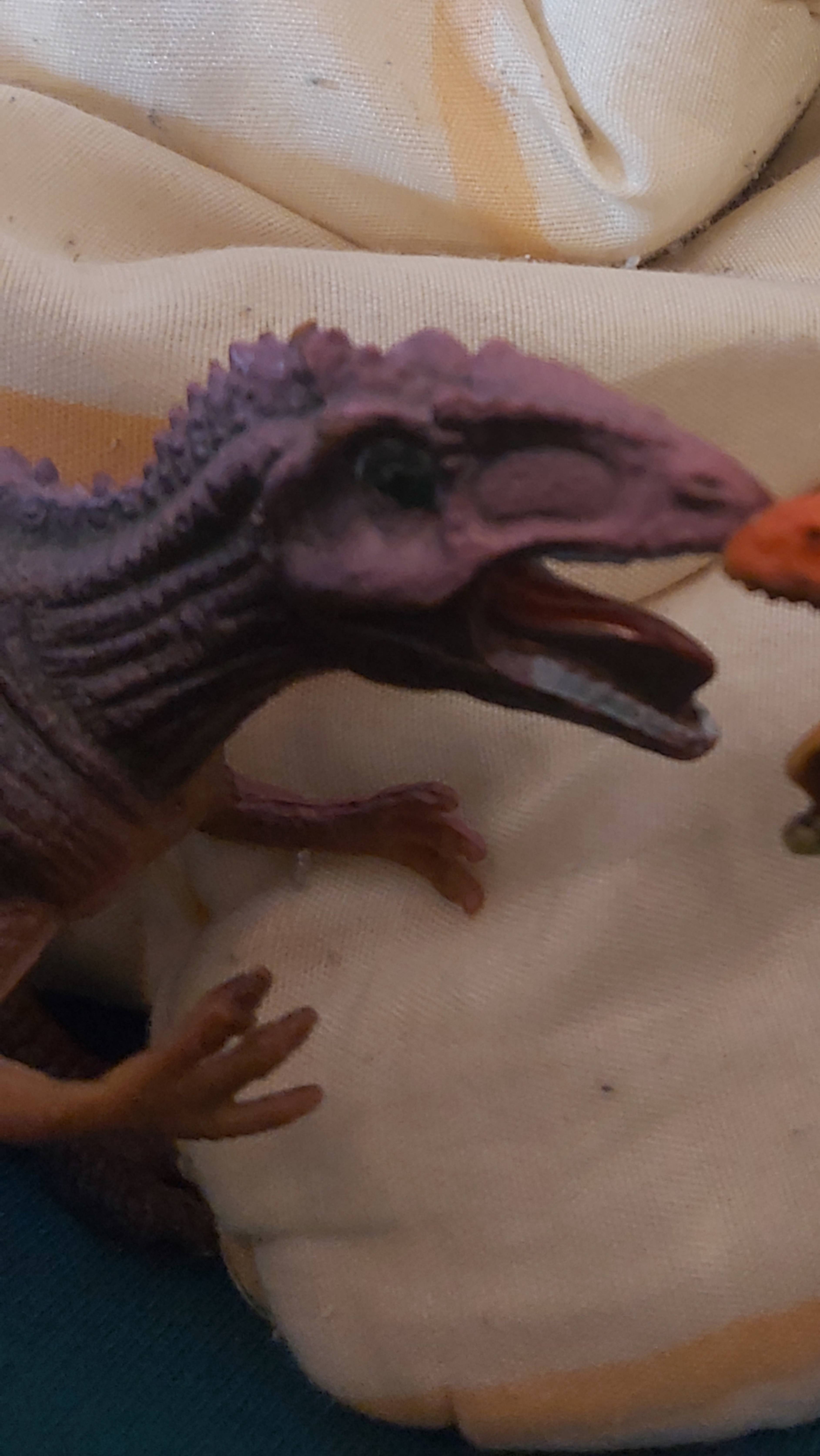 Кархарадонтозавр и Гигантозавр