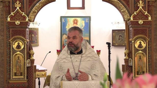 Проповедь настоятеля храма протоиерея Димитрия Синицына. 1 ноября 2025 года