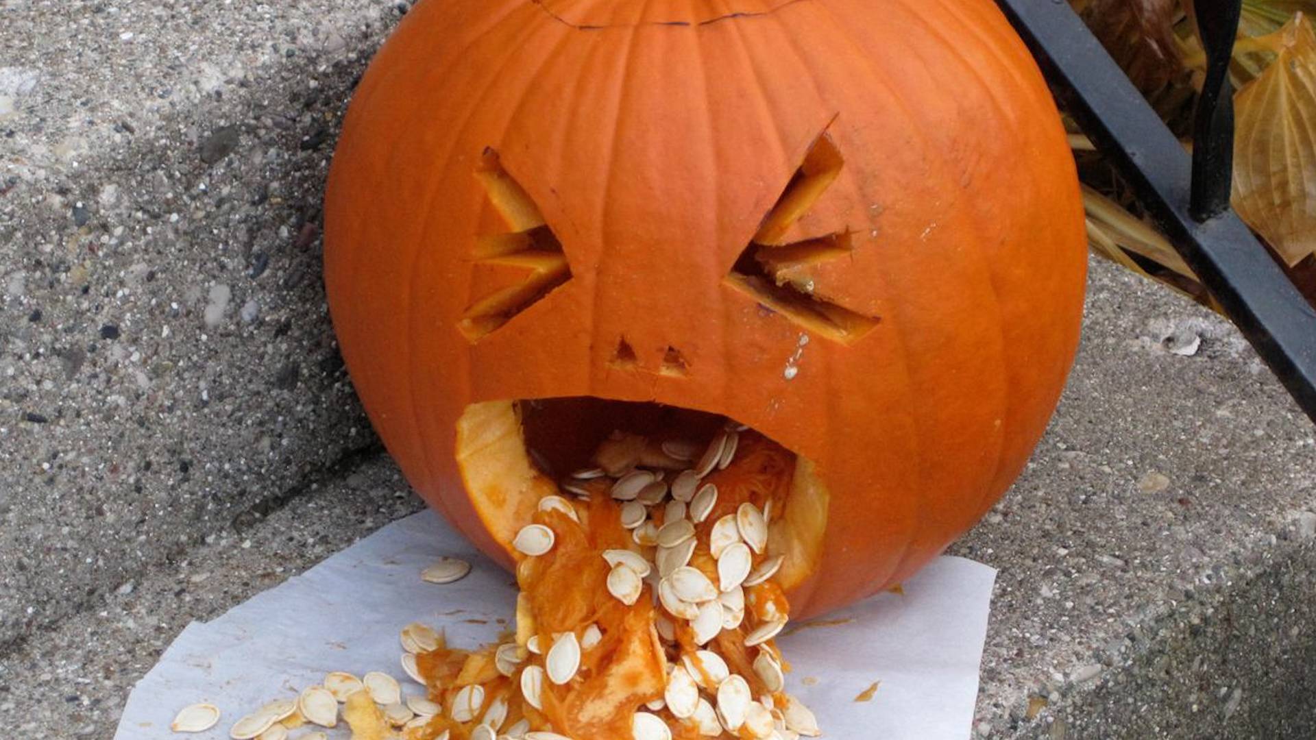 ЗК #110 [ТЫКВЕННАЯ ГРУСТЬ]