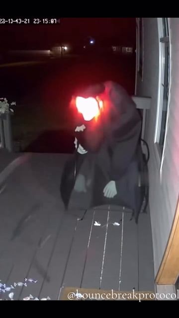 Опоссум испугался