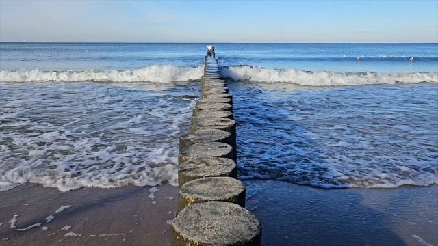 Морепозитив. Балтика. Ноябрь 2025. Зеленоградск