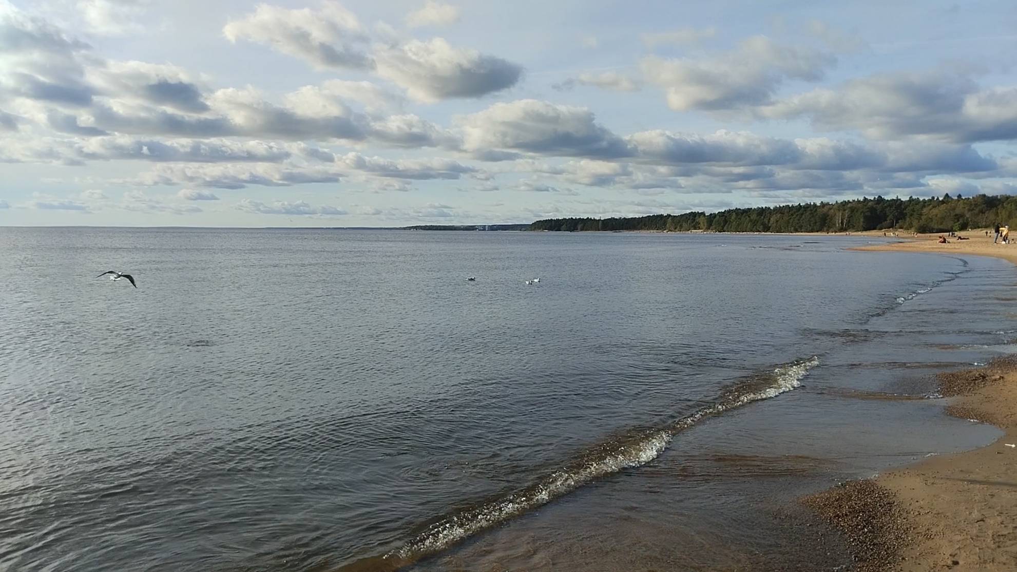 Пляж Ласковый _ Солнечный