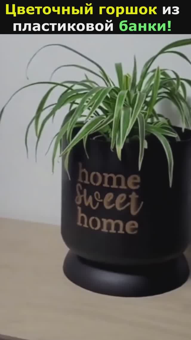 Цветочный горшок из пластиковой банки