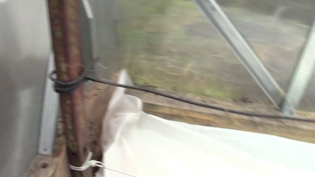 Муромцево  2025г встречаем 1 ноября с дождем