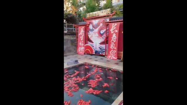 Наше путешествие в Китай 2025. Посещение термальных источников в городе Янцзы