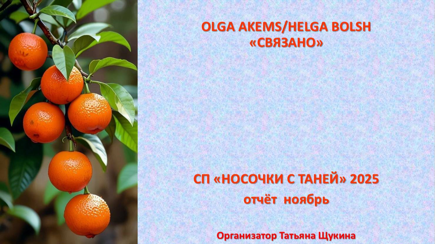 СП "Носочки с Таней 2025" ноябрь