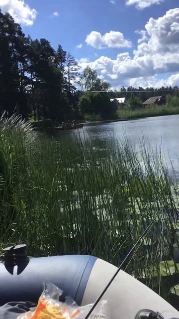 Ленинградская область. Хвойное. 10.07.2024. Река Вуокса. Видео пейзаж с байдарочниками