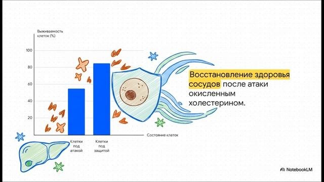 Скрытая сила Розувастатина против дисфункции эндотелия, диабета, воспаления, жировой болезни печени