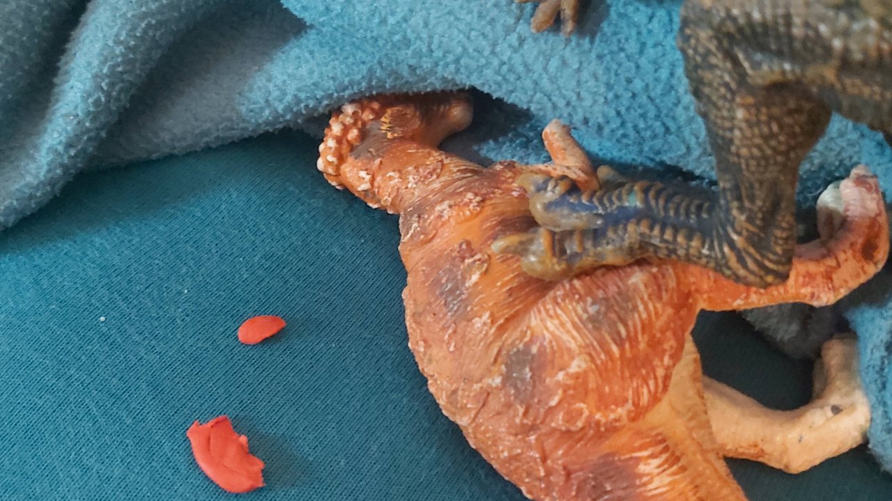 Carnotaurus vs Ceratosaurus