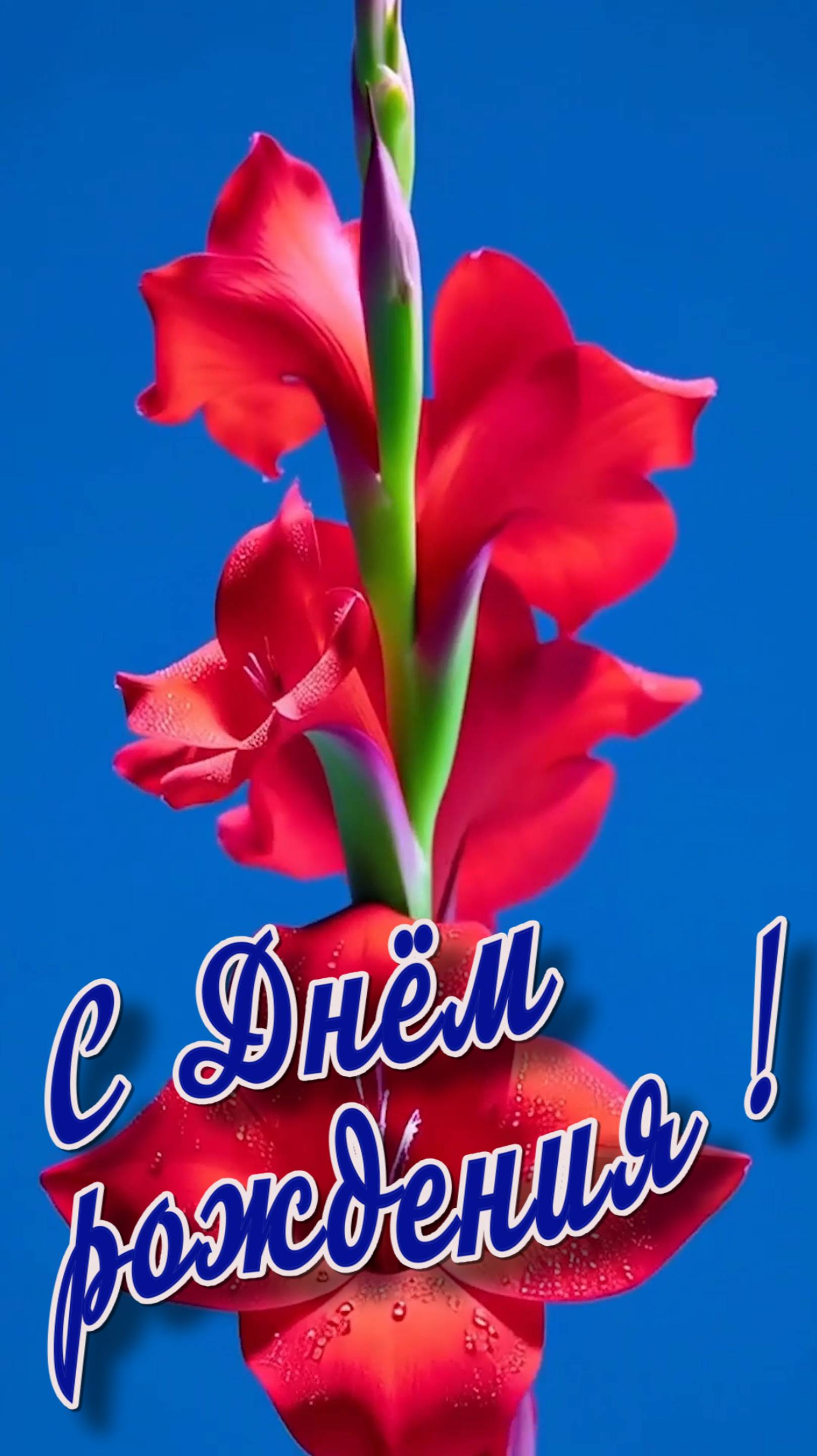 С Днём рождения !!!