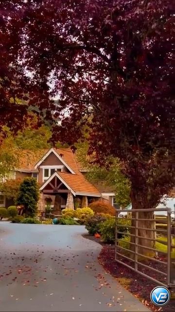 Август шепчет.Осень на носу-Yulevna