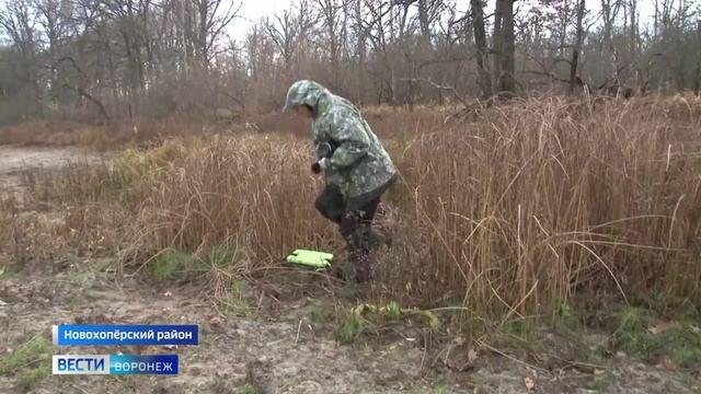 Репортаж про фото 29.10.2025