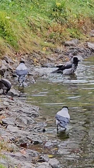 Как промыть мозги? Самый верный способ научиться "промывать мозги" самостоятельно - стать психологом