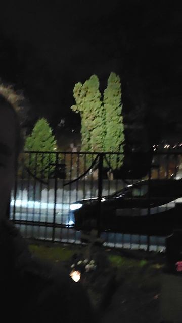 Тысячи свечей... только раз в году.