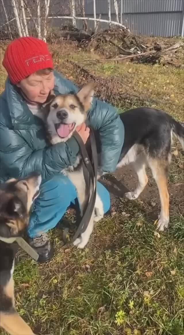 Совсем беда, Никитос стал СЛЕПНУТЬ