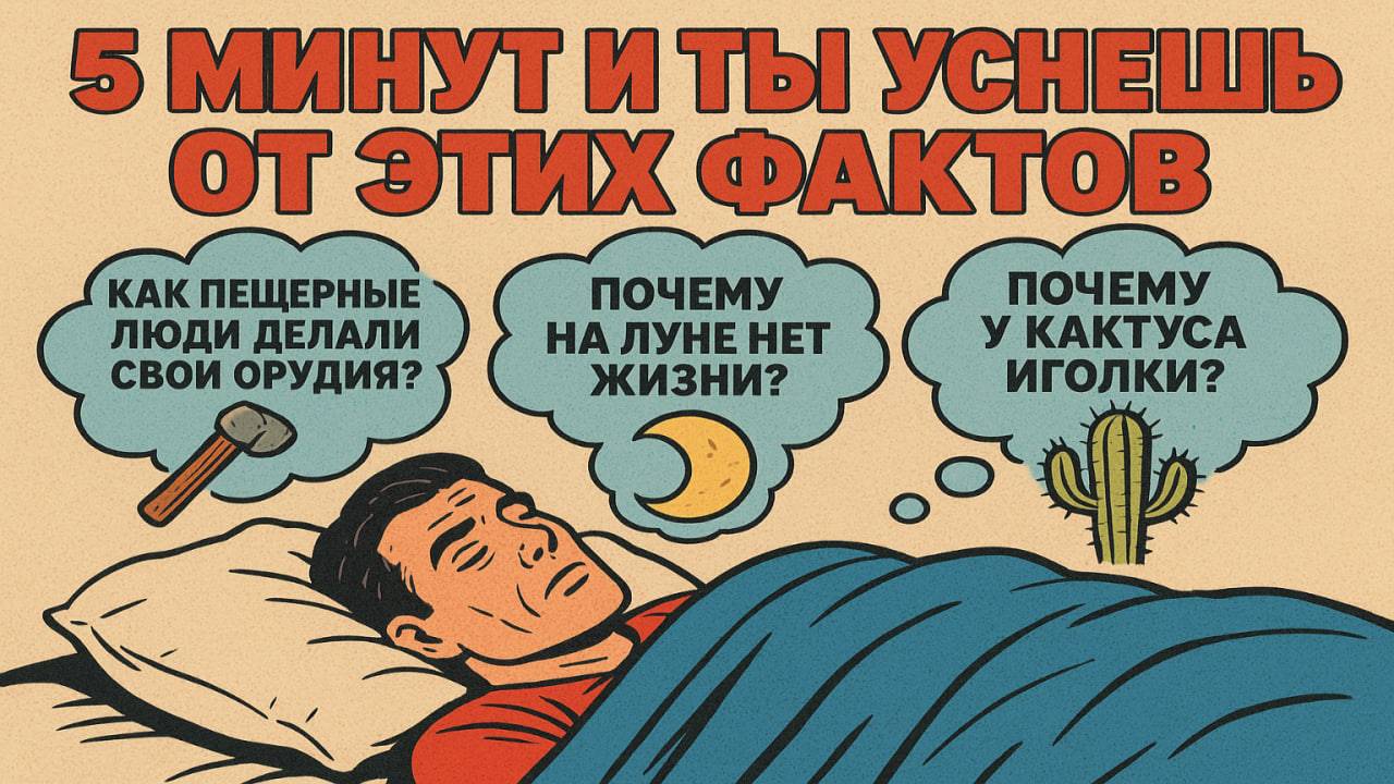 Факты перед сном, чтобы быстро уснуть | Удивительные научные и исторические факты