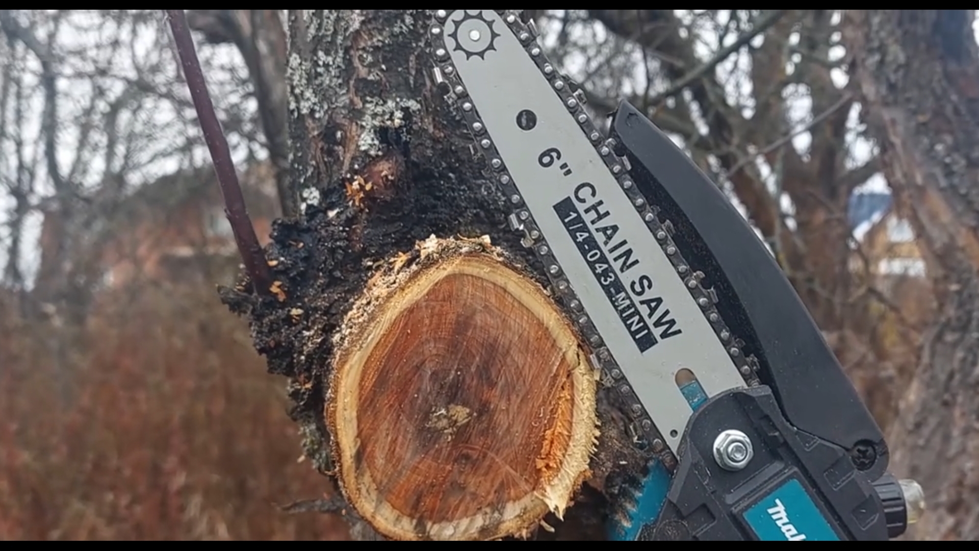 Распил деревьев в Саду пилой аккумуляторной мини сучкорез Макита -2 серия