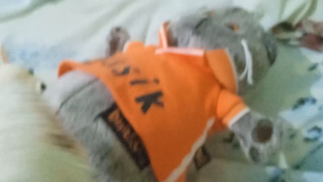 Басик привет 8 серия