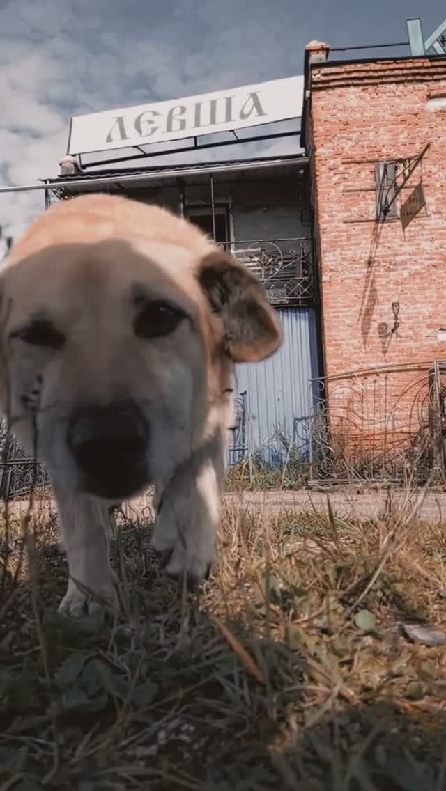 Младший ведёт экскурсию  олимпийскому призёру! Александру Бессмертных! #левша #экскурсия #сын #олимп