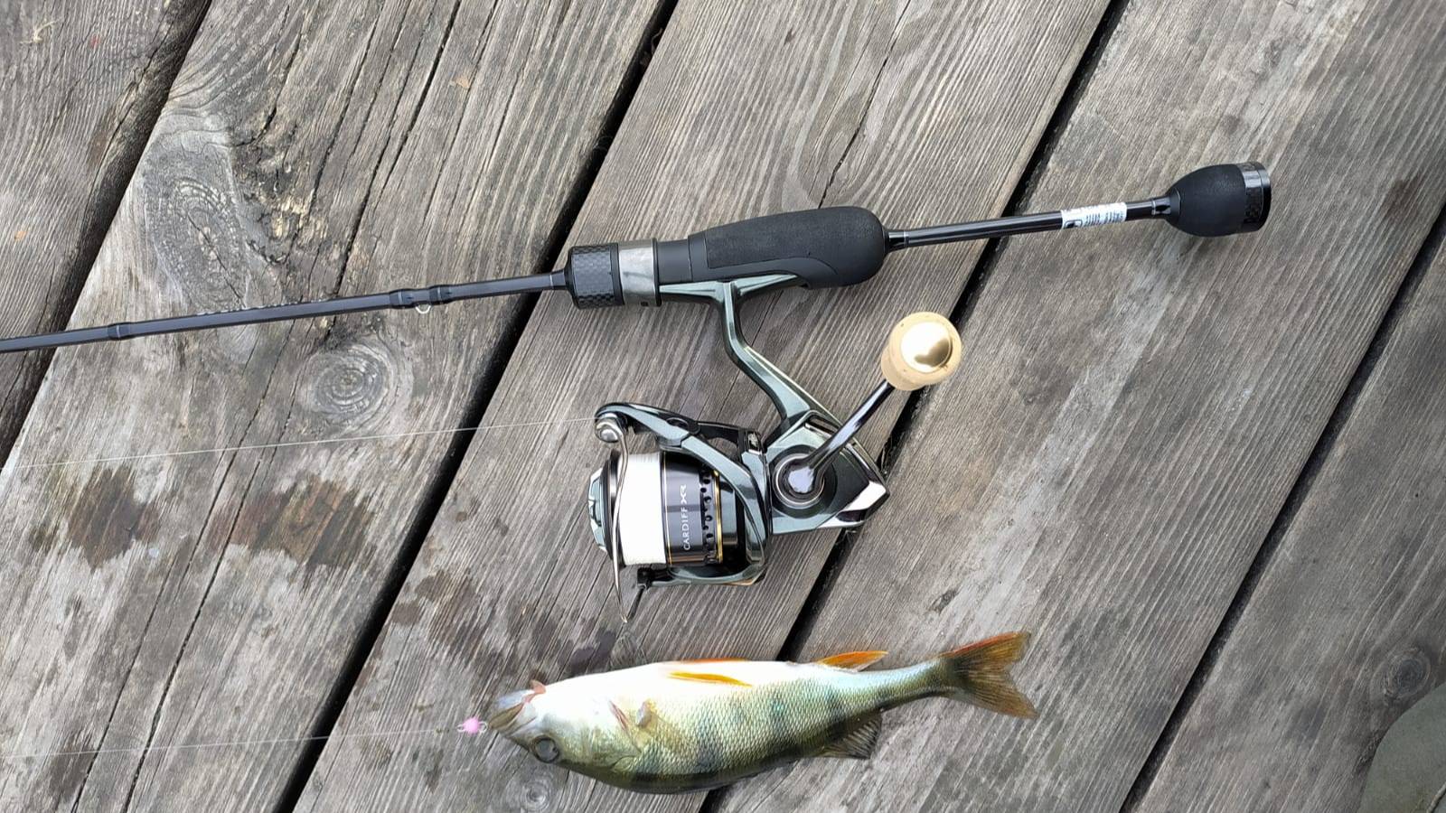 Черневские пруды. Микро и нано-джиг утром 17 сентября 2025 года