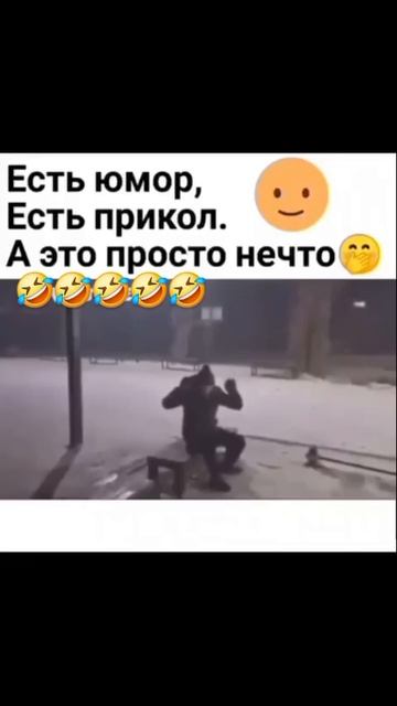 Прикол с собакой