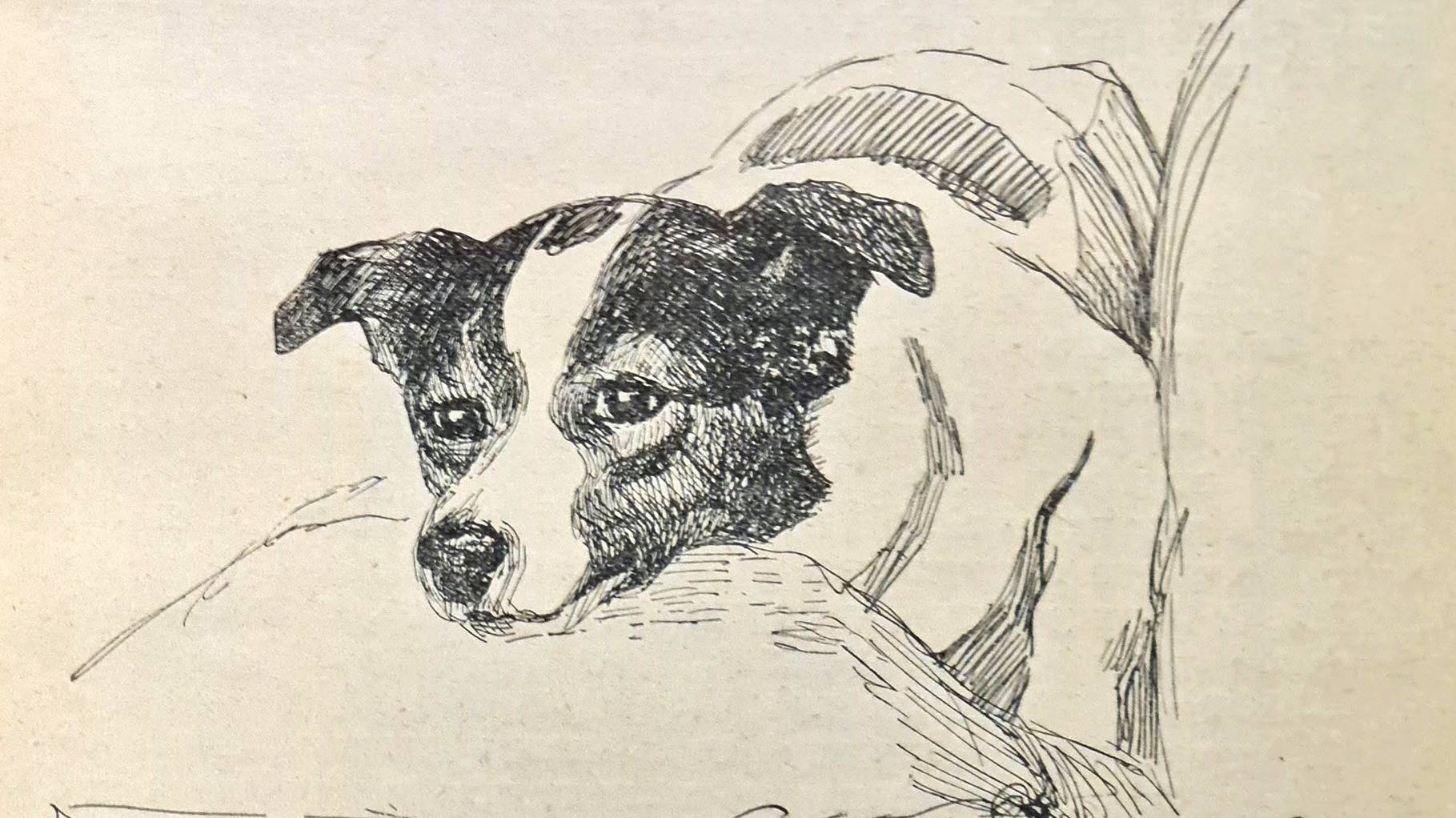 «Тоска по родине». Рассказ З. Анисимовой.